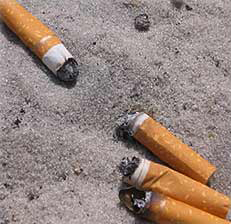 Hard Times at the Claypool Courts – Erich Stauffer